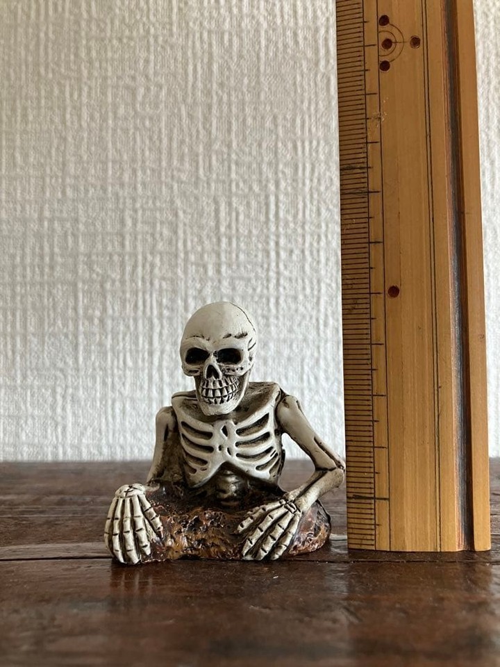 Vintage Skull Doll Figurine, Retro Bone Decor, Antique Gothic ...