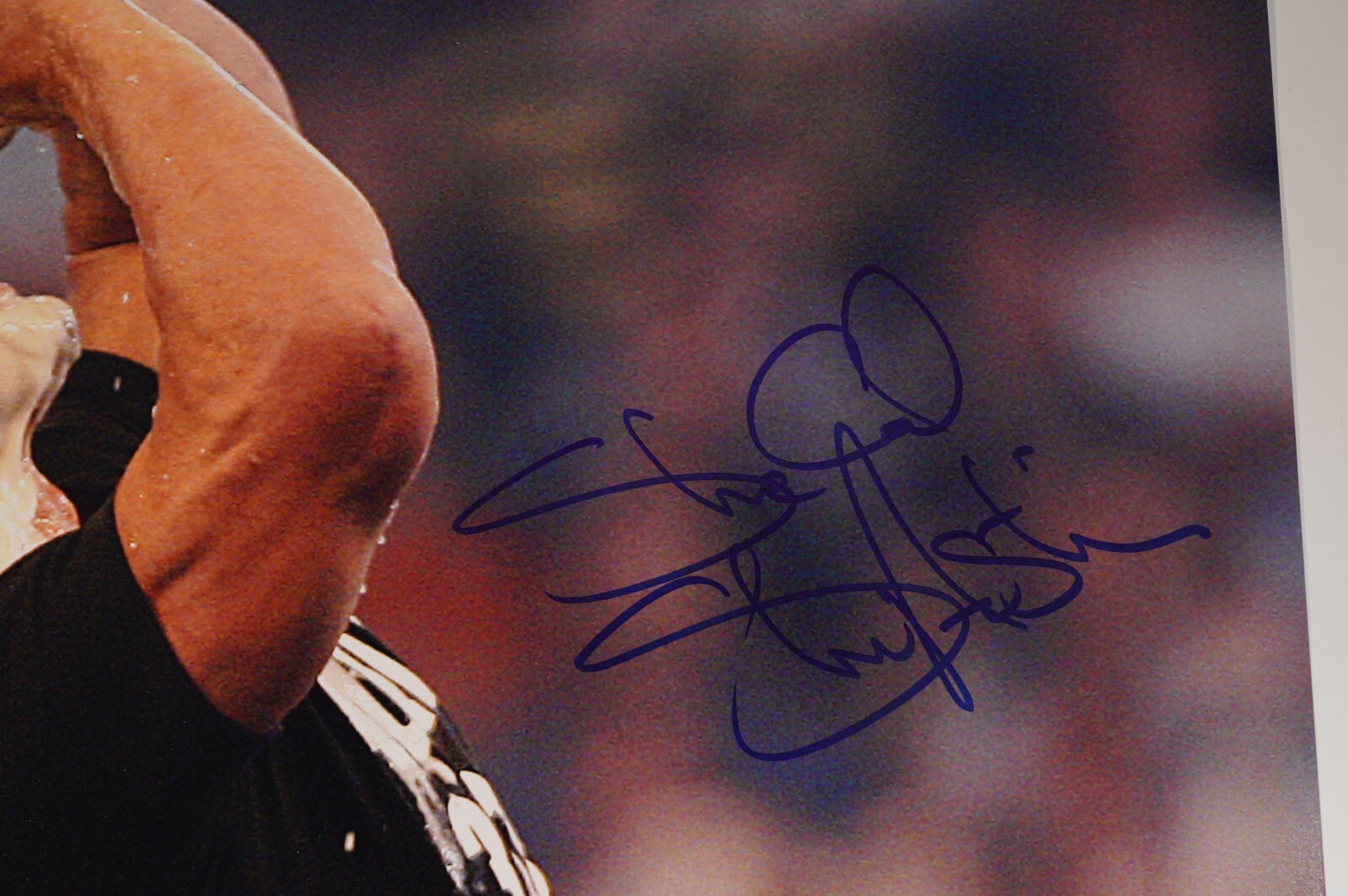 Stone Cold Autographed Signed Steve Austin 16X20 Photo Beckett COA Wwe ...