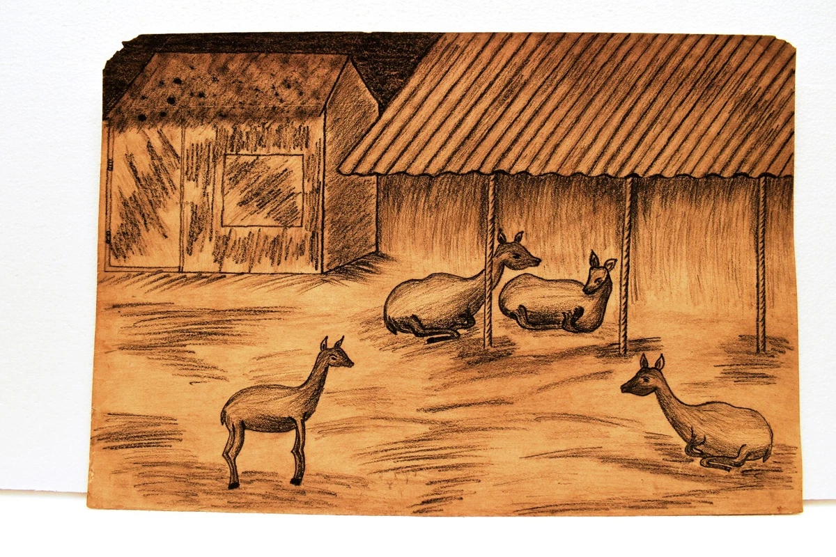 Pencil Shade Drawing Of Animals