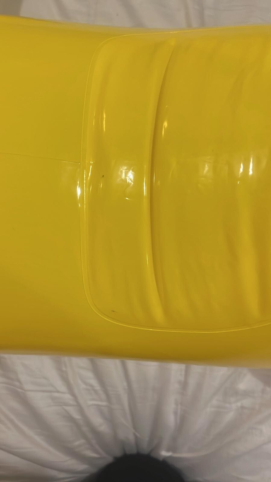 Intex The Wet Set Sea Lion/ Lil Seal Pool Float Inflatable Toy | eBay