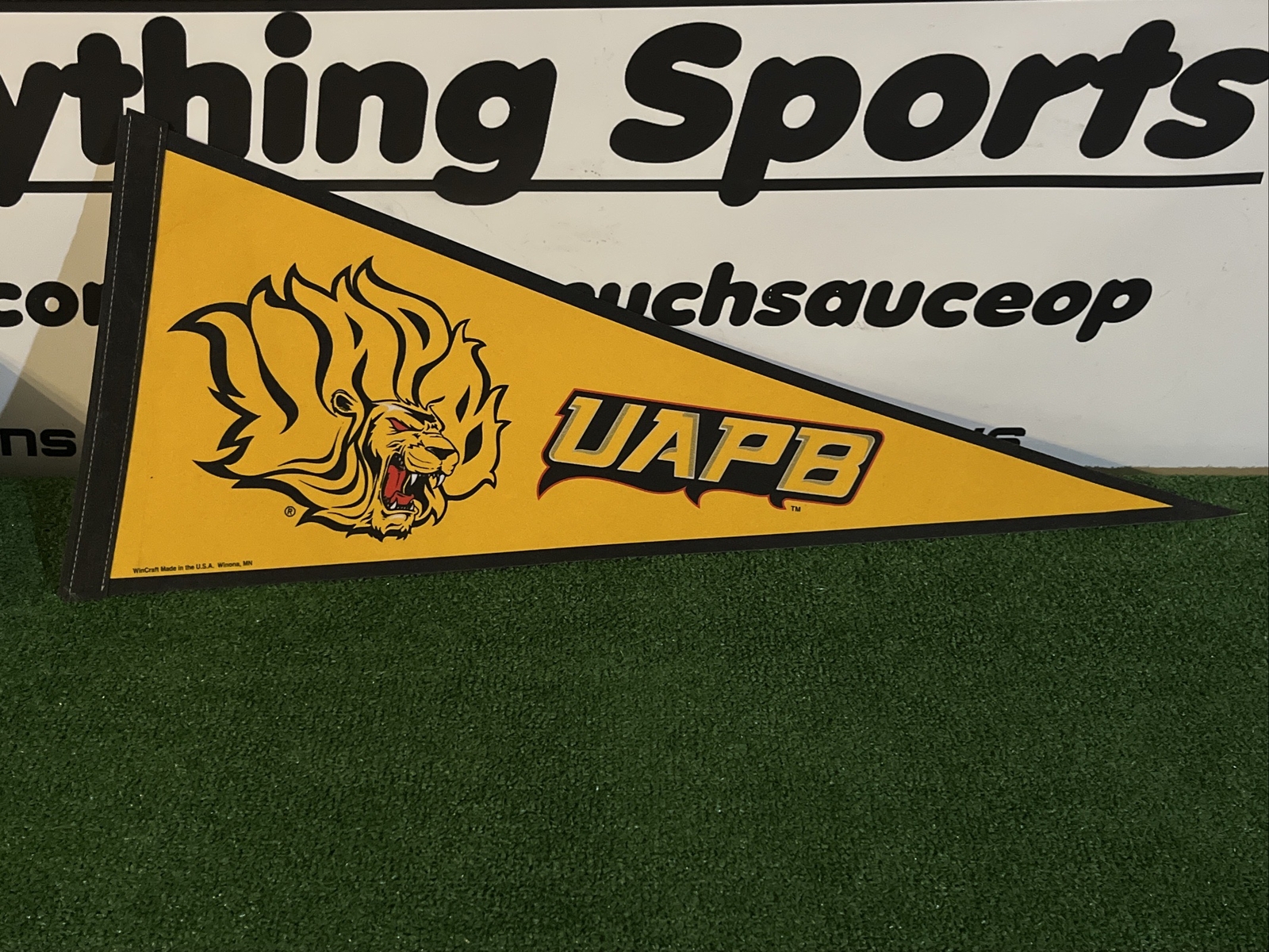 University Of Arkansas Pine Bluff UAPB Golden Lions 12x30 Pennant | eBay