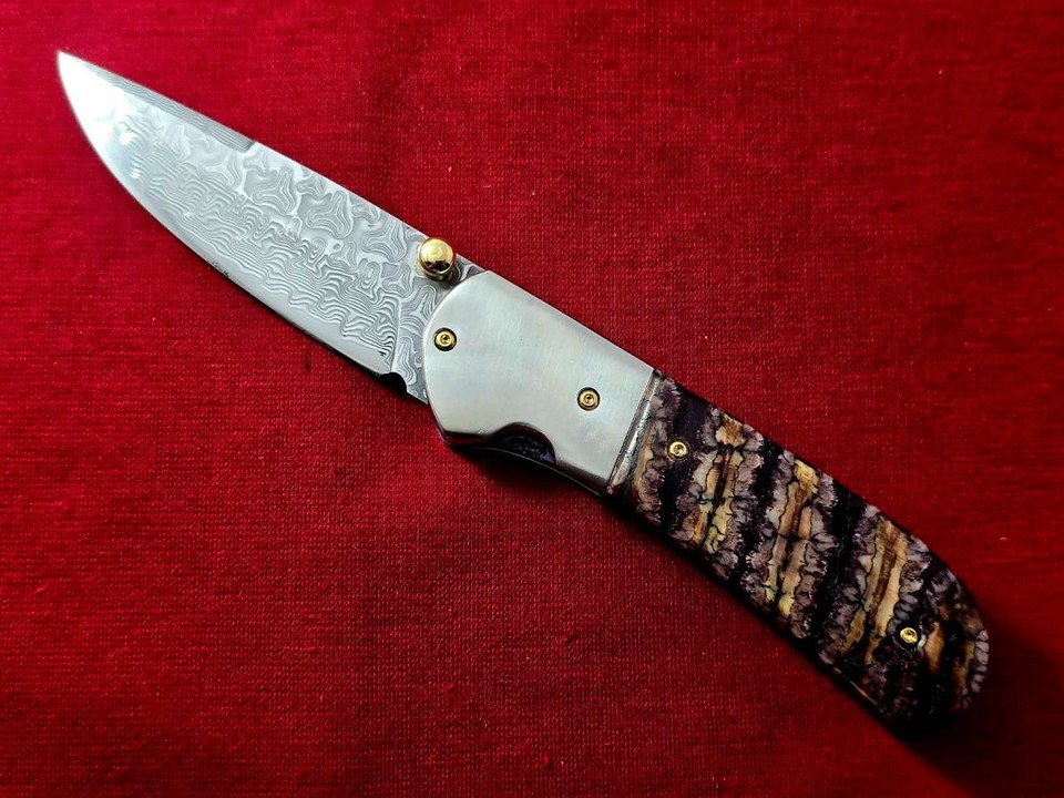 CUSTOM FOLDING KNIFE Stainless Damascus STEEL Fossil Titanium Craft Art ...