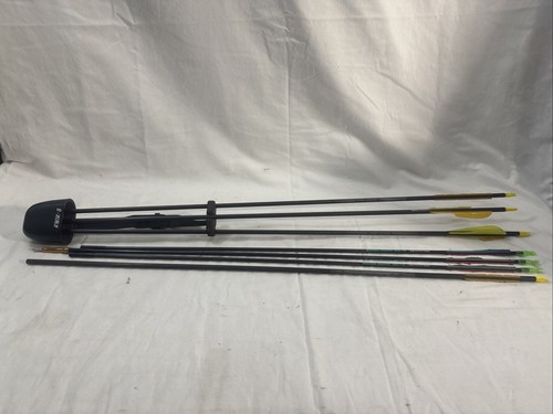 Mixed Lot Of 7 Beman ICS Hunter Elite Arrows Needs Fletching | eBay
