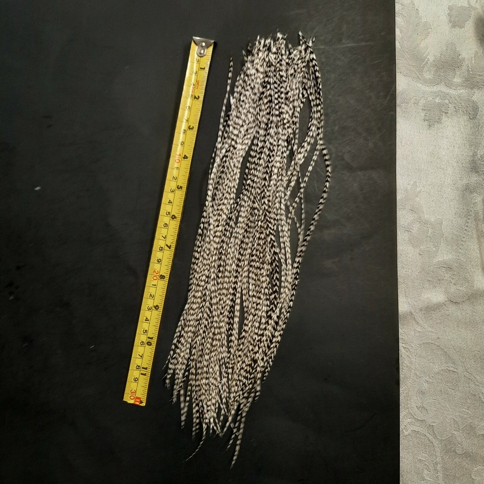 50 6-9" Whiting Grizzly Rooster Saddle Hackle Feathers Hair Extensions ...