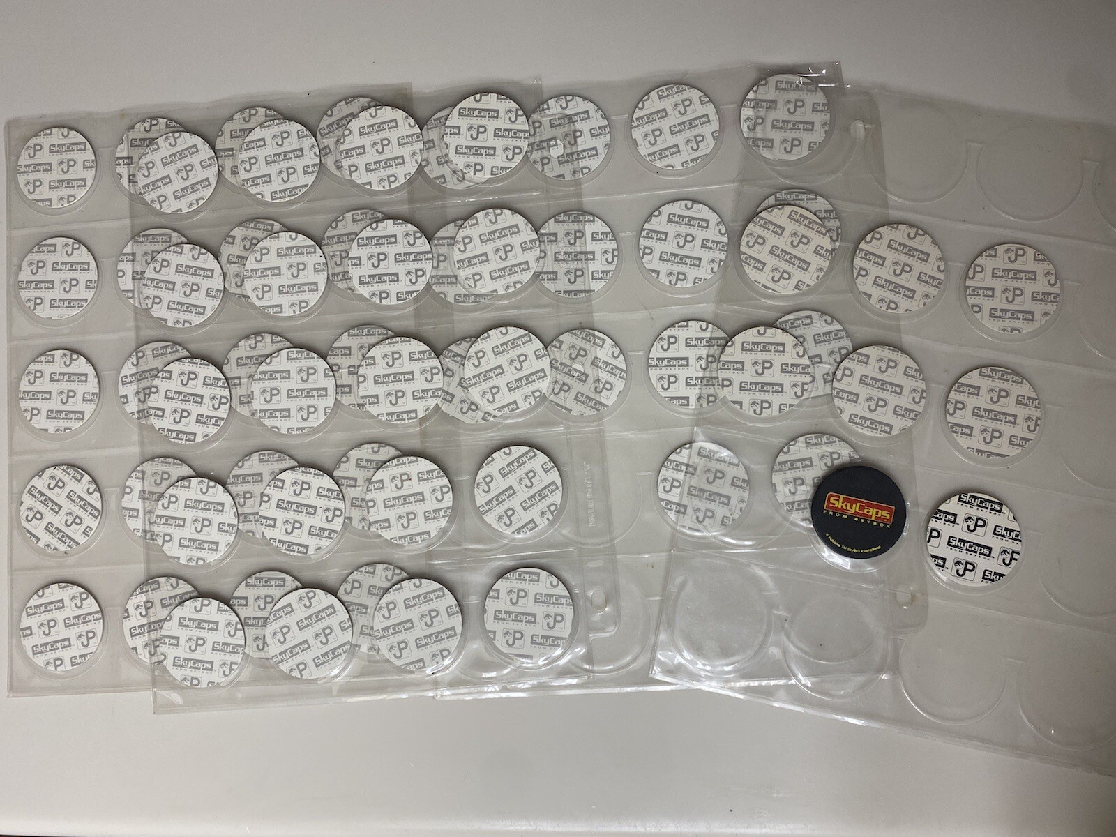 Jurassic Park Pogs ACTUAL Complete Set! | eBay