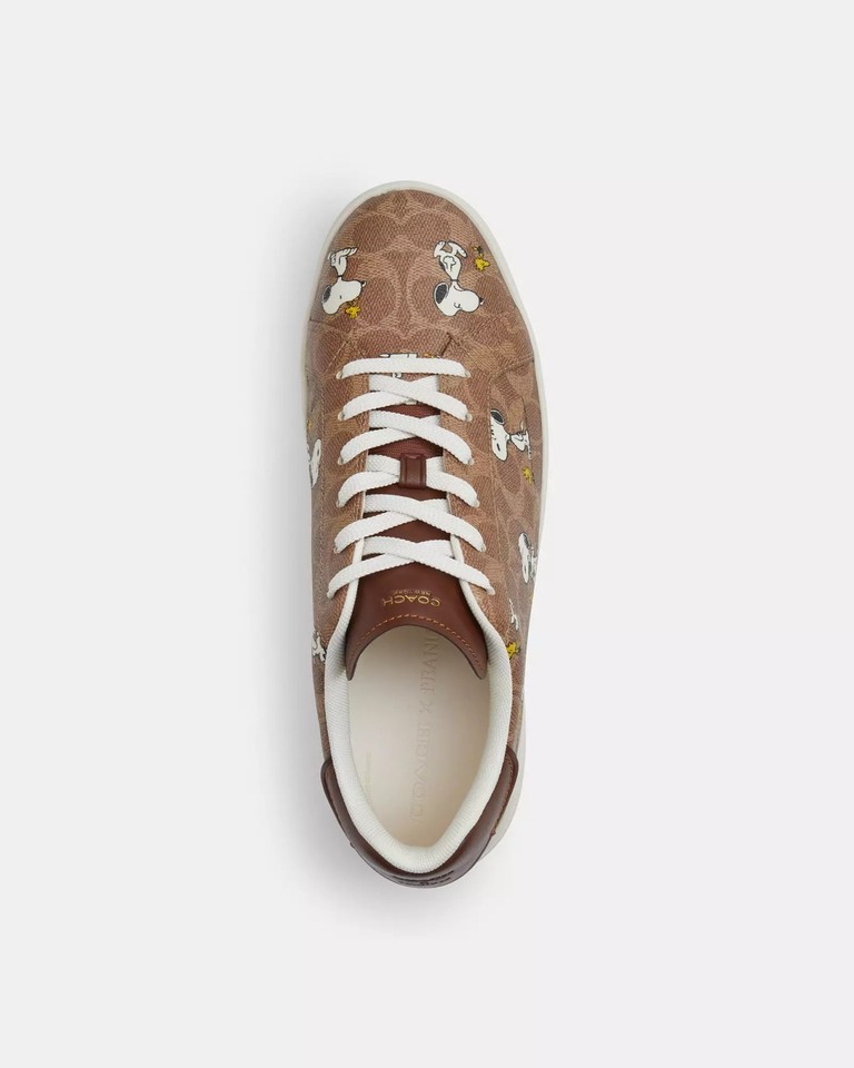 NIB (Men SZ 10)- Coach X PEANUTS/SNOOPY Sneakers - Tan Canvass in SIG ...