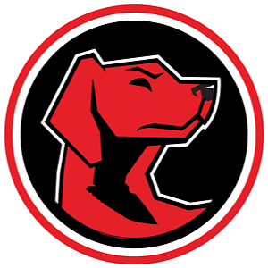 RED DAWG TREASURES | eBay Stores