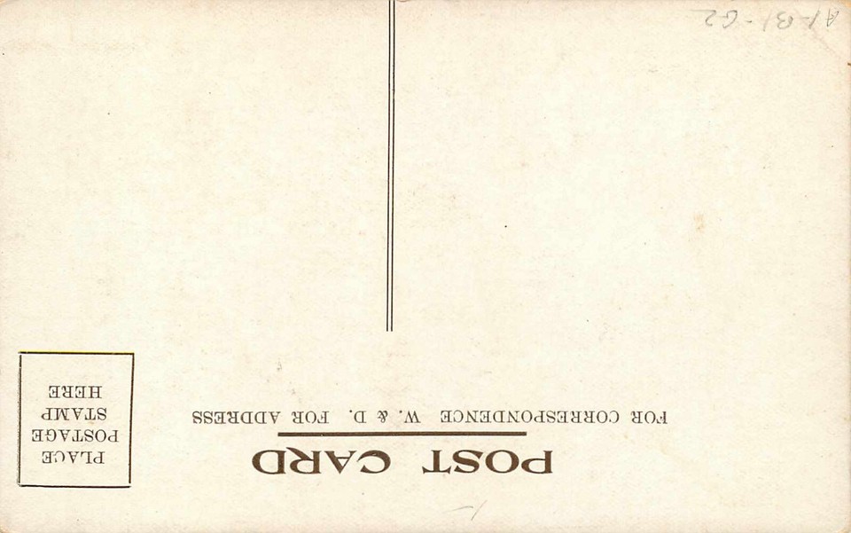 Postcard Kitten in a Vase Cat Divided C. 1910 | eBay