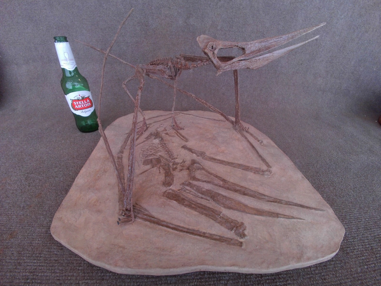 'Ptweety the Ptiniest Pteranodon' fossil skeleton, Kansas USA, cast ...