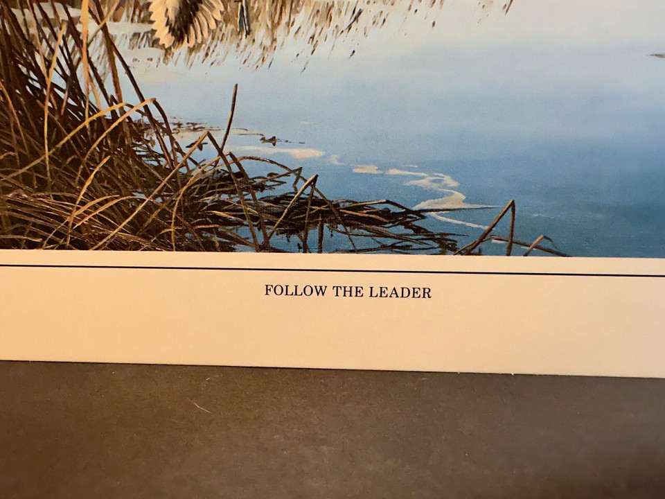 David A. Maass, EIGHT PRINTS, 8" X 10", NEVER FRAMED, DUCKS | eBay