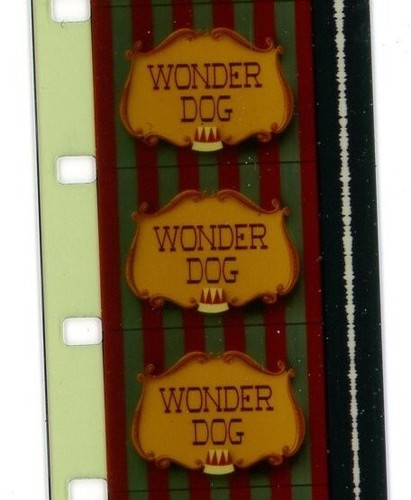 1950 PLUTO WONDER DOG 16MM FILM IN AWESOME DISNEY PRODUCTIONS MICKEY ...