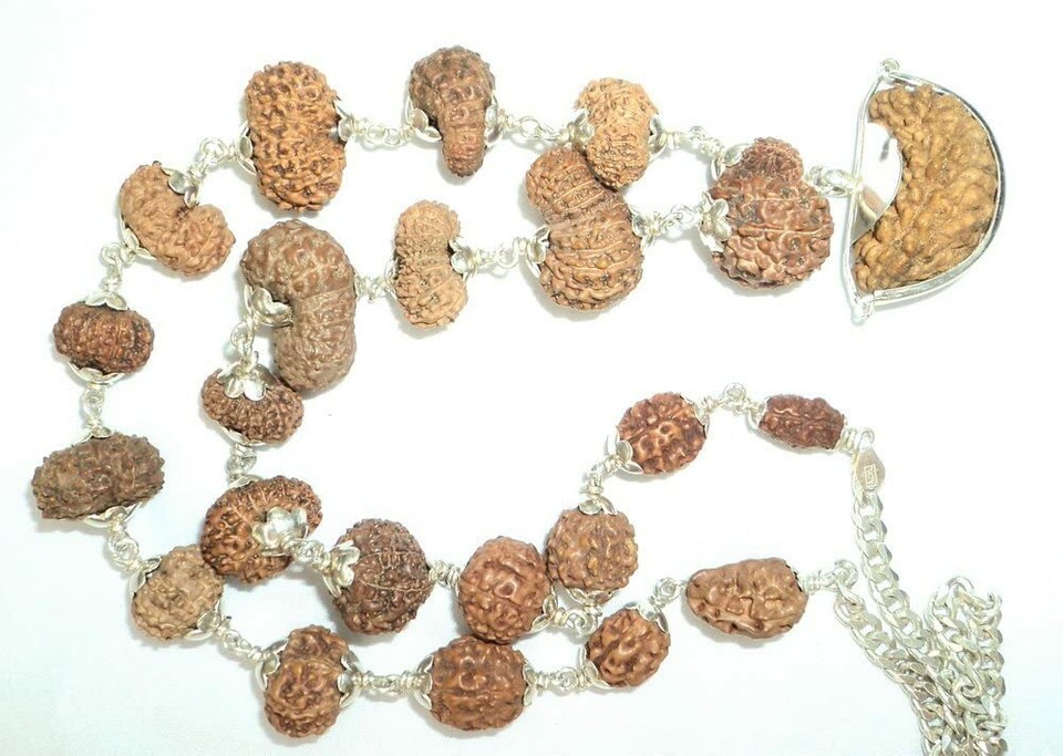 Indrakshi Mala 1 to 21 Mukhi Rudraksha Mala Certified Mala with Gauri ...