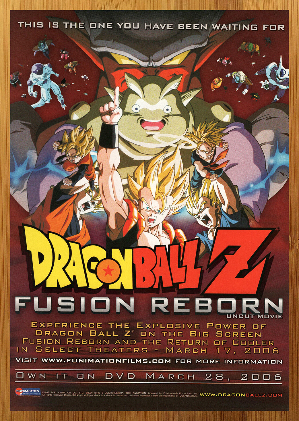 Dragon Ball Z Fusion Reborn Poster