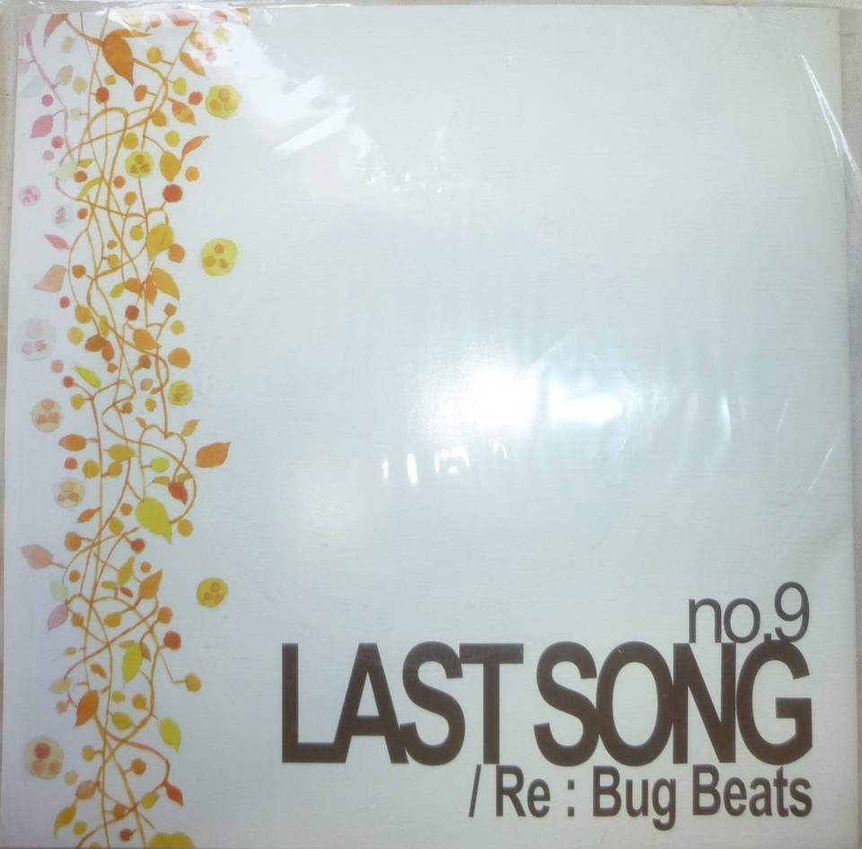 No.9 / Last Song Re Bug Beats 7' | eBay
