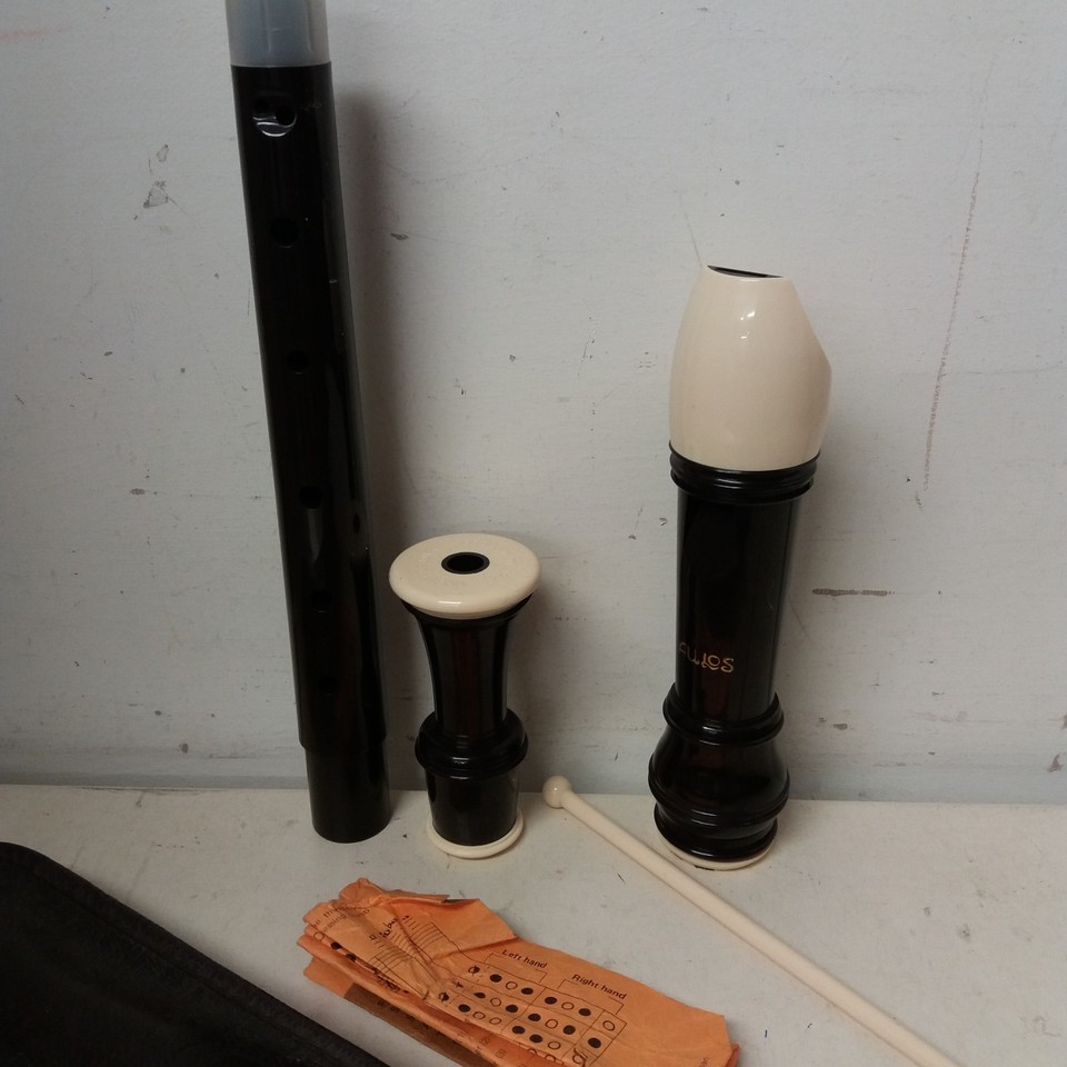 Recorder - Musical Instrument - in leather case. (H19) | eBay UK