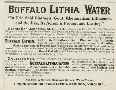 Buffalo Lithia Water Quack Medicine Gout Rheumatism 1905 Antique Print ...