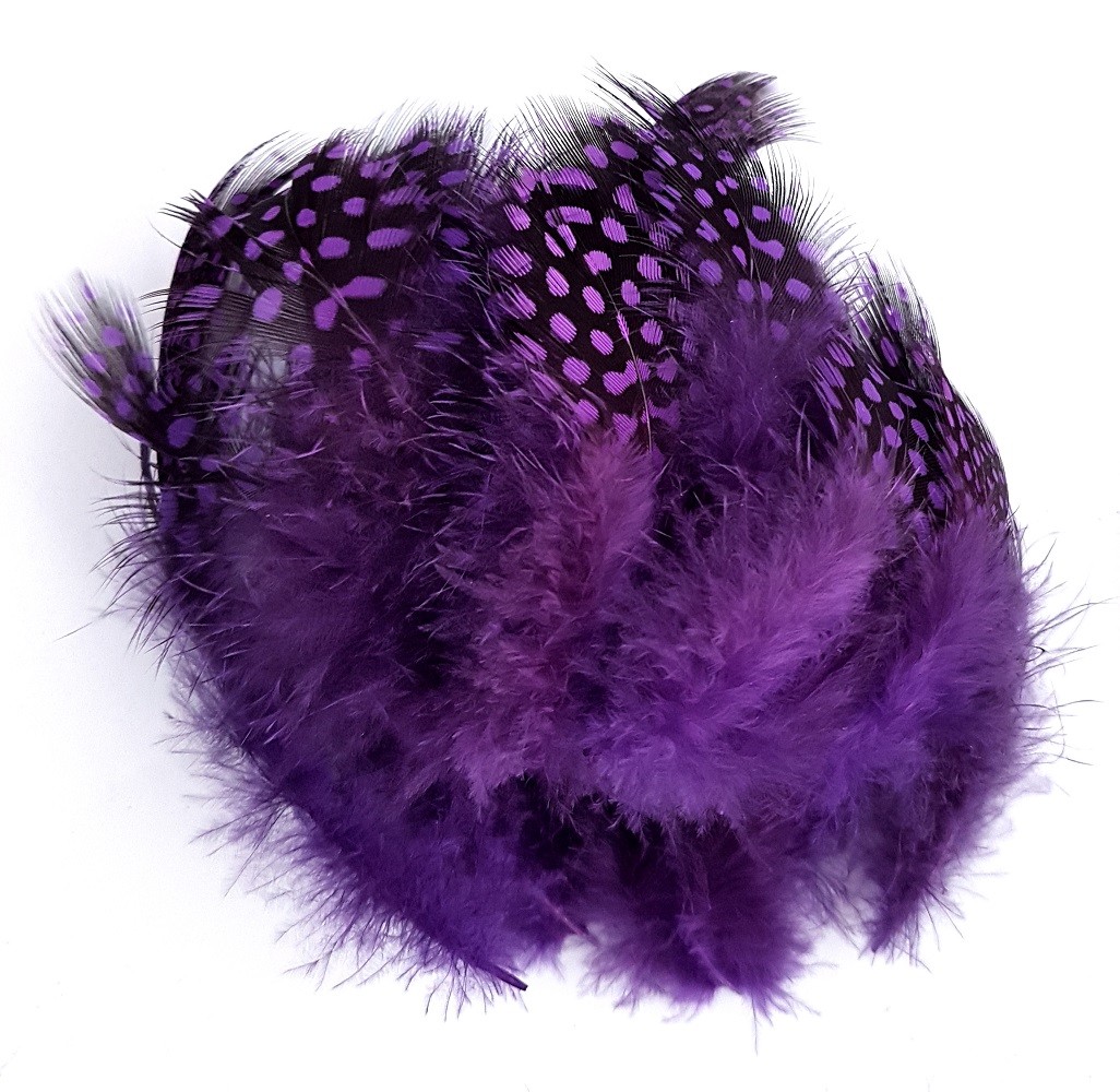 ATST® Coloured Spotty Feathers - Polkadot Small Colour Craft or Hat ...