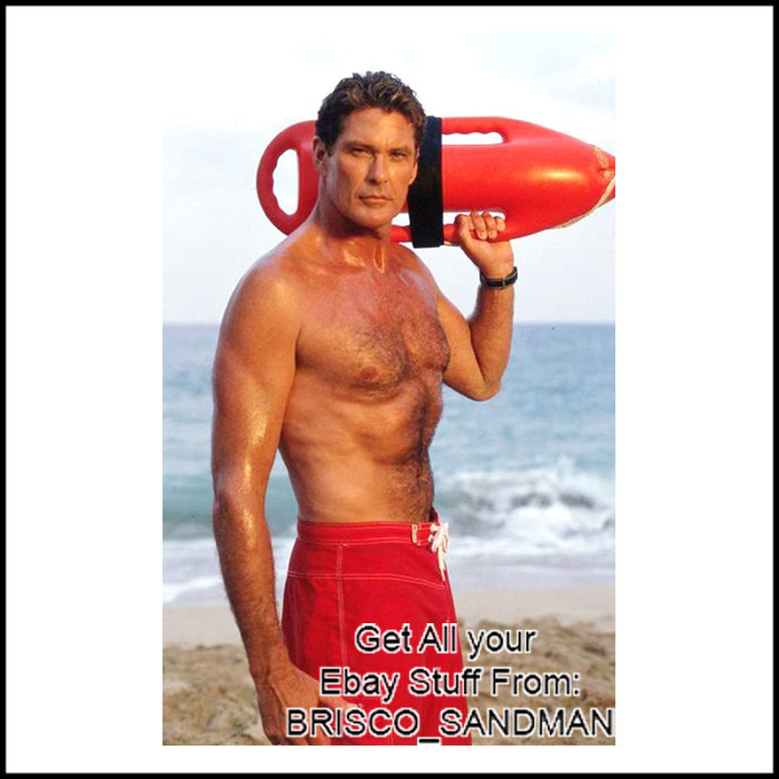 Funny David Hasselhoff Quotes Memebase David Hasselhoff All Your