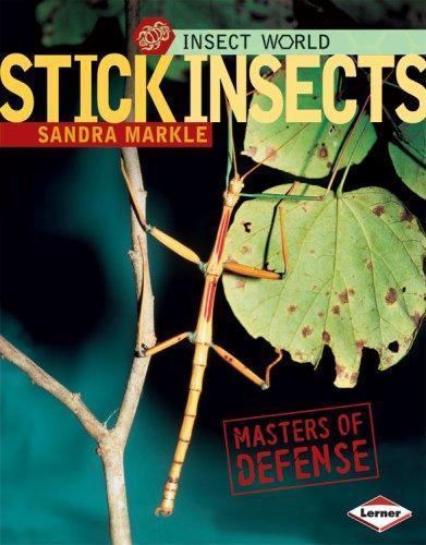 Stick Insects : Masters of Defense by Sandra Markle (2008, Library ...