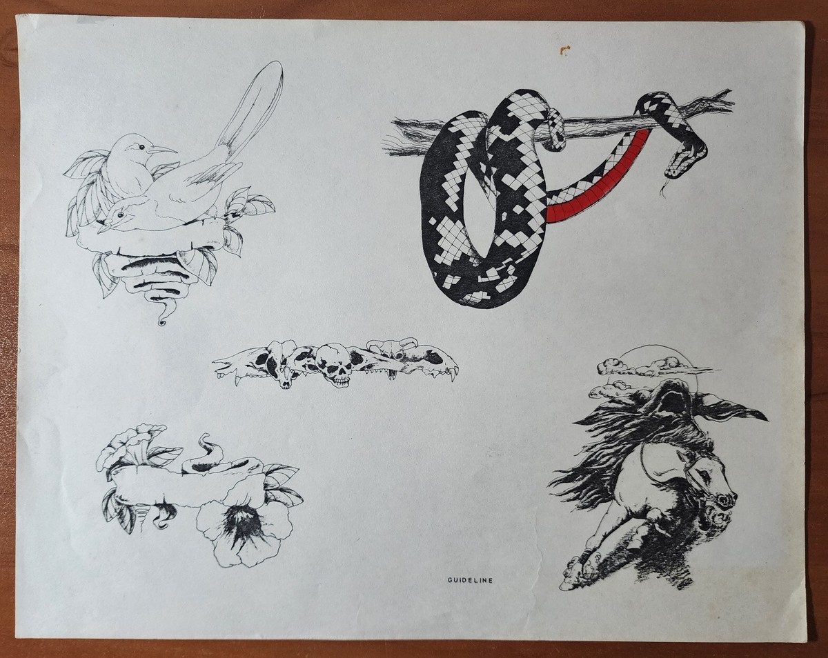 Skull And Snake Flash Cap Coleman Snake And Skull From My Latest Flash