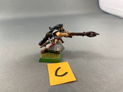 Wizard Amber Lore of Beasts Druid Empire METAL Warhammer Fantasy Quest ...