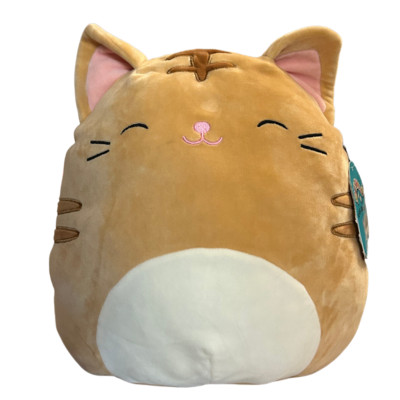 Squishmallow Nathan The Tabby Cat 12” Plush, ORIGINAL PINK EARS FIRST ...