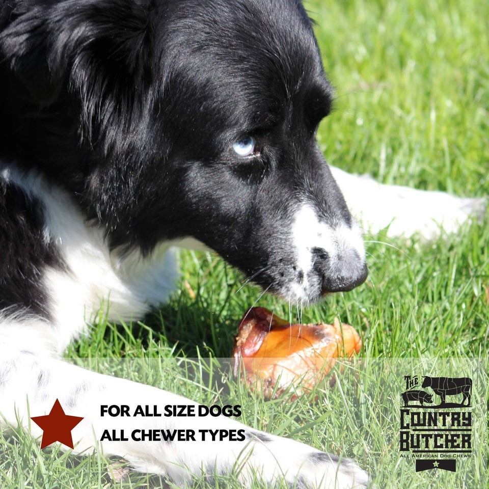 Beef Knee Caps Dog Bones for Aggressive Chewers, Medium Breed Dog Treat ...