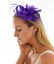 Spring Race Carnival Melbourne Cup Feather Fascinator Headband Clip ...
