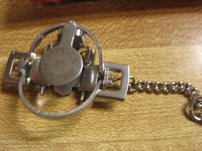 Coil Spring Trap Mini These Little Traps Really Set | eBay