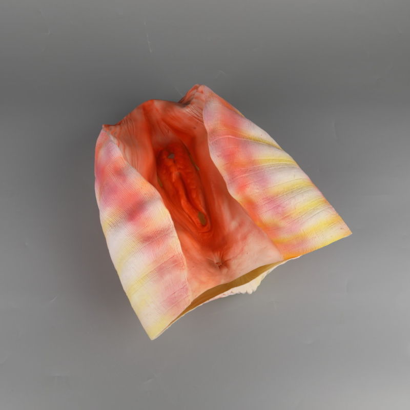 Halloween Clam Shell Prank Sexy Mask Cosplay Scallop Shell Mask ...