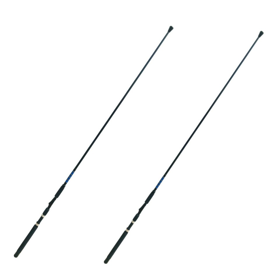 EatMyTackle Sabiki Rig Bait Catching Rod | Saltwater Sabiki Rod | eBay