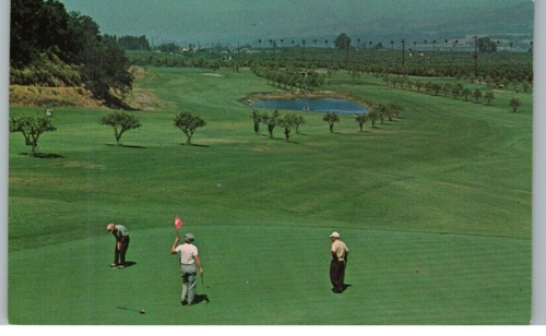 Vintage Postcard 1962 Elkins Ranch Golf Course, Fillmore, California ...