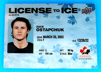 2023-24 Upper Deck Team Canada Juniors Zack Ostapchuk License To Ice SP ...