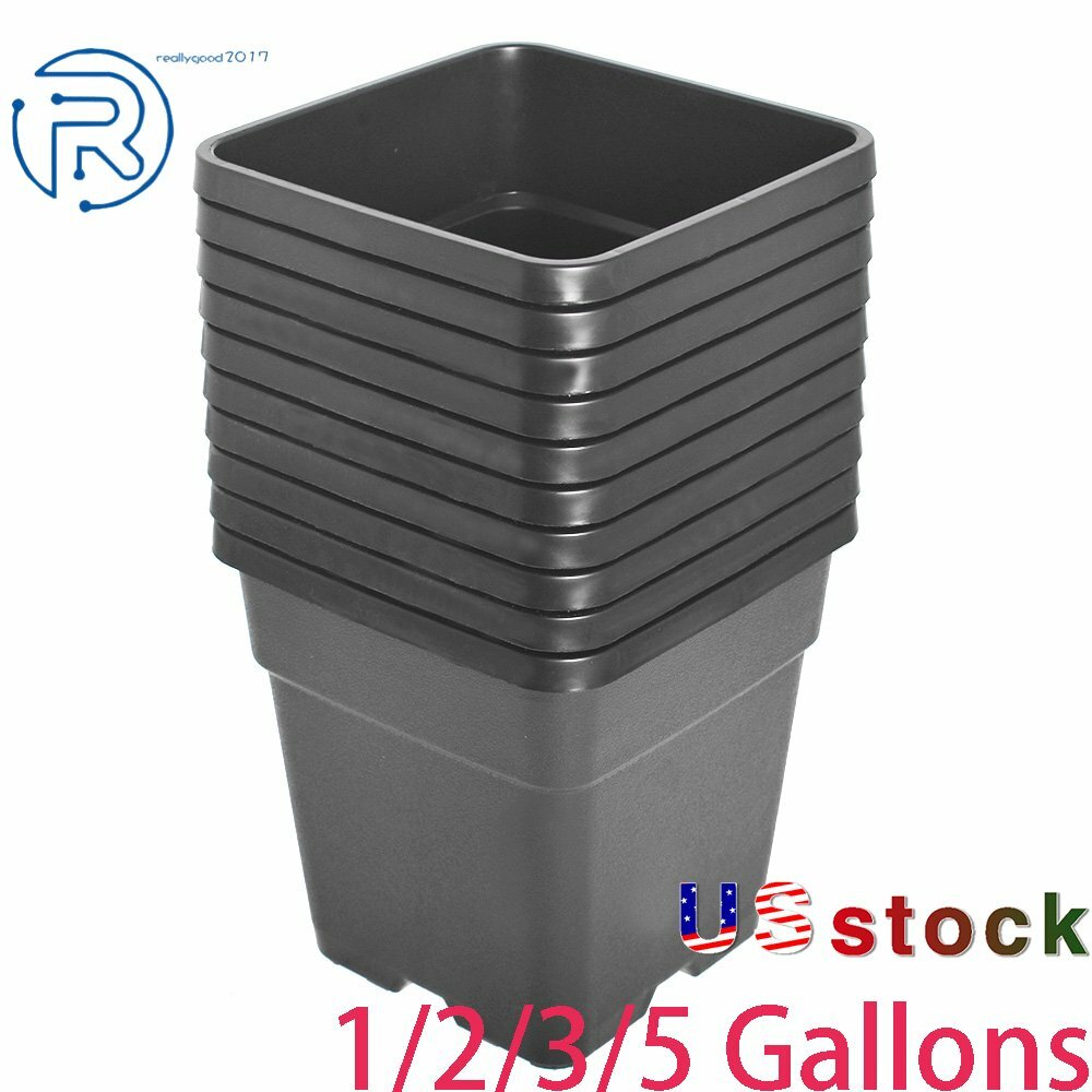 Growing Square Containers Buy GreenLove New Gardening Square Plant