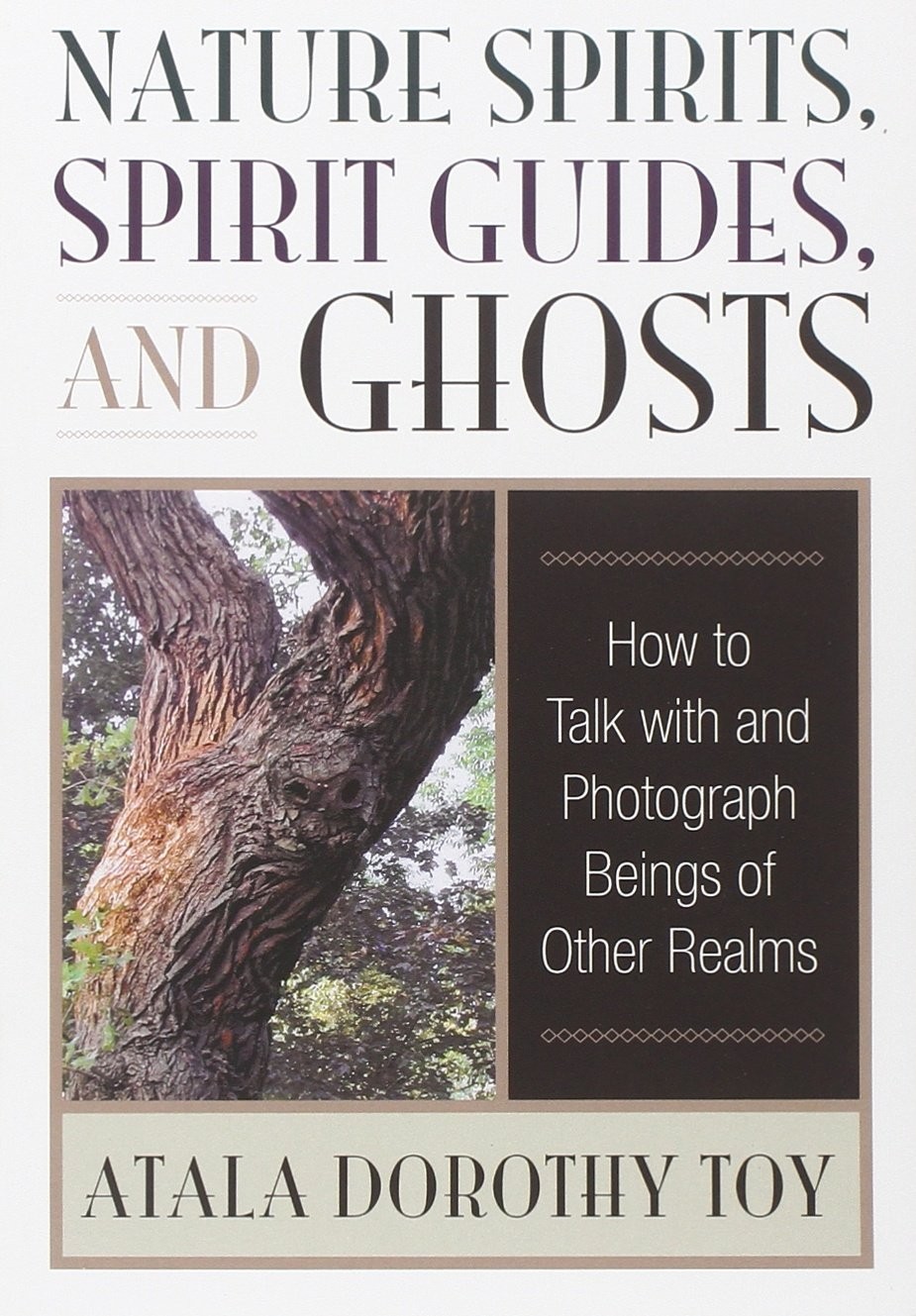 Nature Spirits, Spirit Guides, and Ghosts: How to Talk with and ...