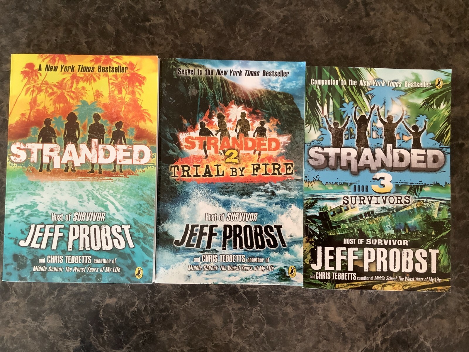 Stranded 3 Book