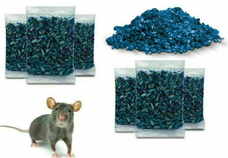 Rat Poison 6 x 25g Bait & Mouse Grain | Strongest Maximum Strength ...