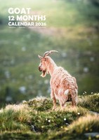 Goat 2026 Calendars A3 | Offer of the day