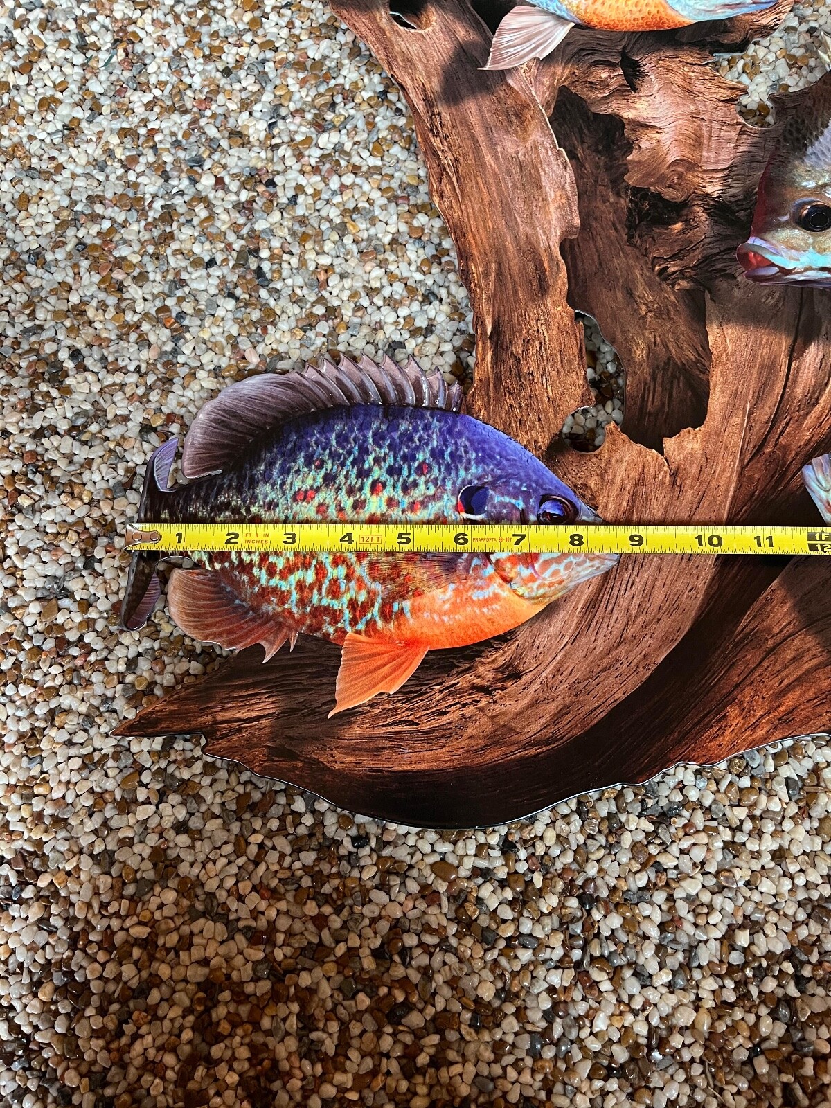 Bluegill Replica Driftwood Scene, Rustic Decor, Lodge Decor, Bluegill ...
