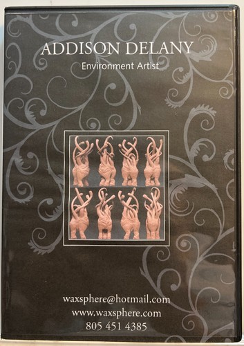 Addison Delany : Environmental Artist (DVD Waxsphere) *Very Good* | eBay