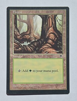 Magic MTG - Forest (Picture #1) - Tempest Basic Land 1997 - LP | eBay