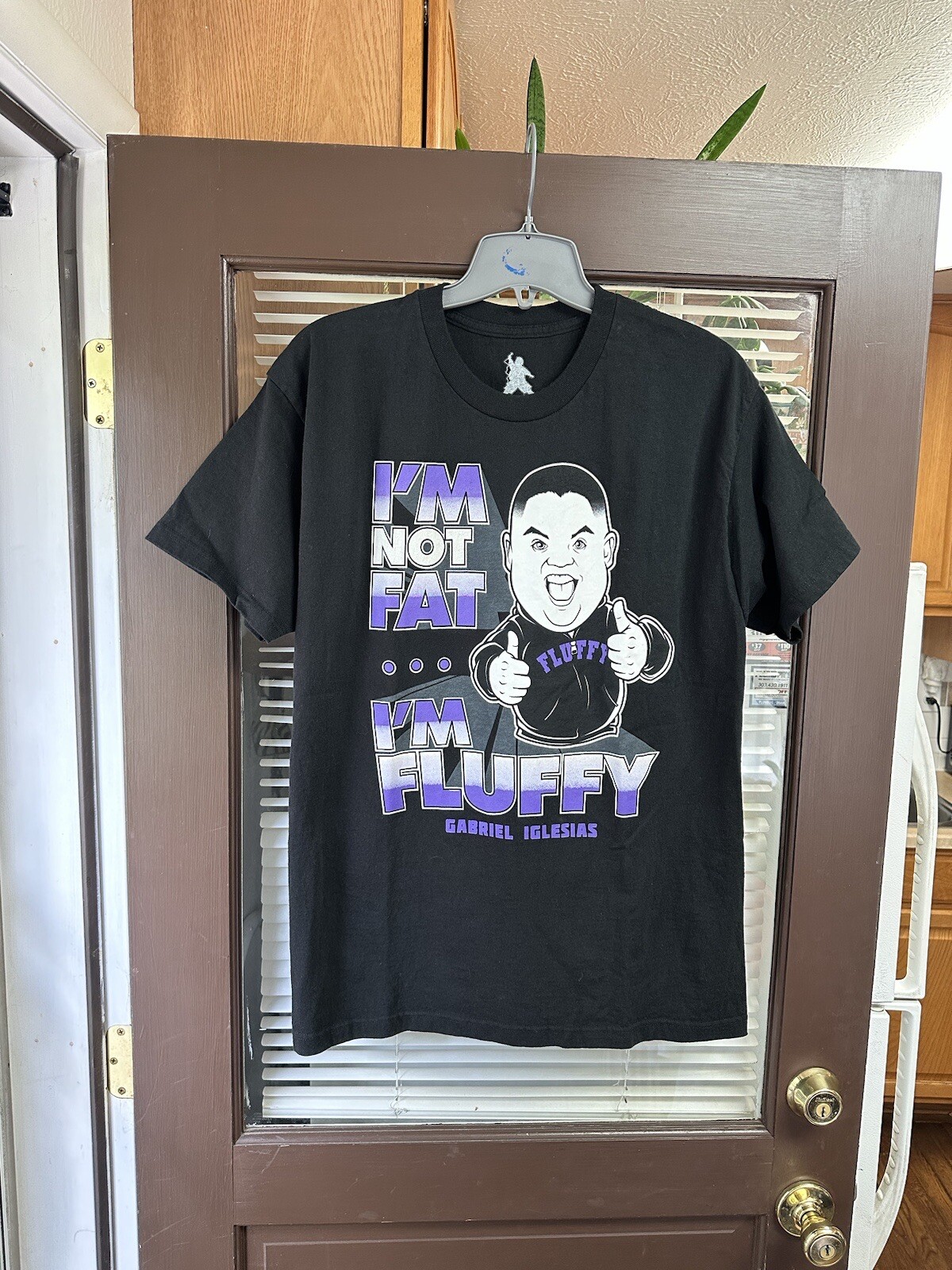 2015 Gabriel Iglesias Im Not Fat Im Fluffy STAND UP R… - Gem