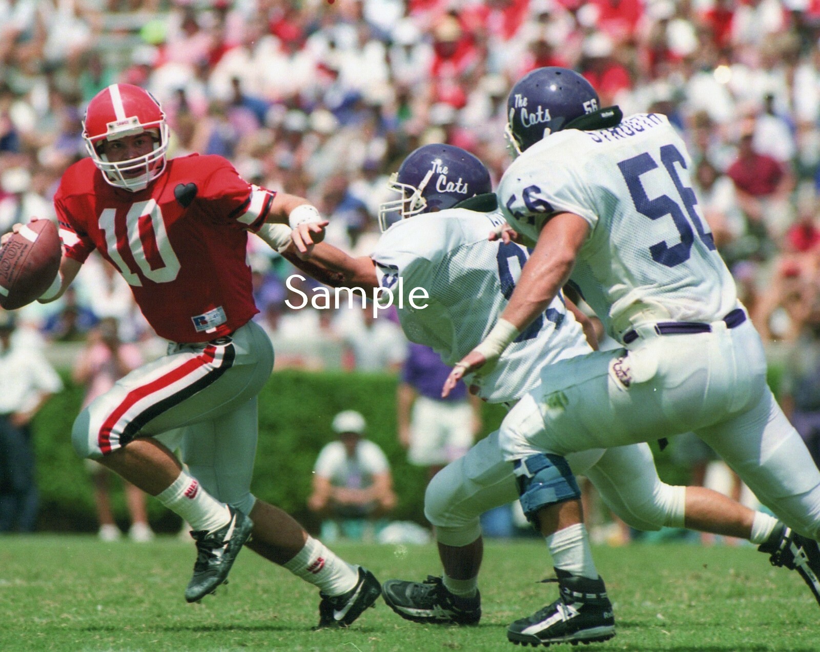 Eric Zeier Georgia Bulldogs Football 8x10 Photo Poster Print DG1 | eBay