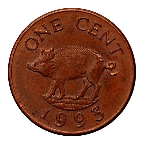 1993 Bermuda 1 Cent Coin, km44 - Nice Coin 🇧🇲 Free Shipping!!!! | eBay