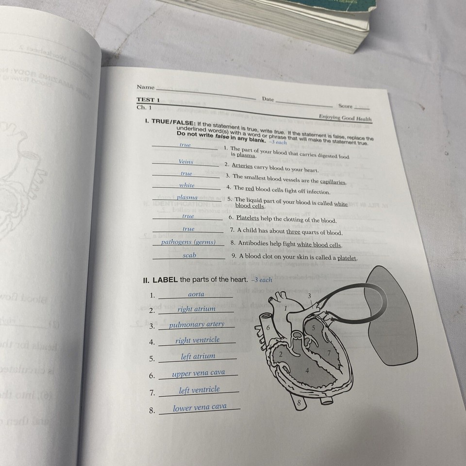 Abeka Enjoying Good Health Grade 5 Third Edition Teacher Quiz/Test ...