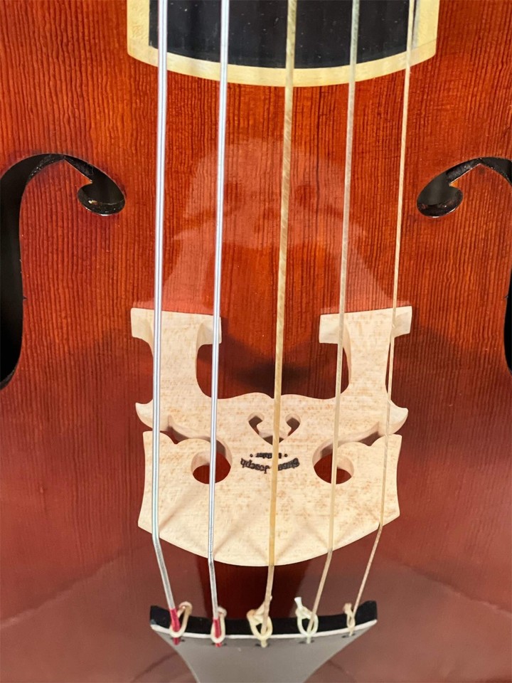 Simon Joseph 5-String Piccolo Cello – Baroque Master Instrument (2024 ...