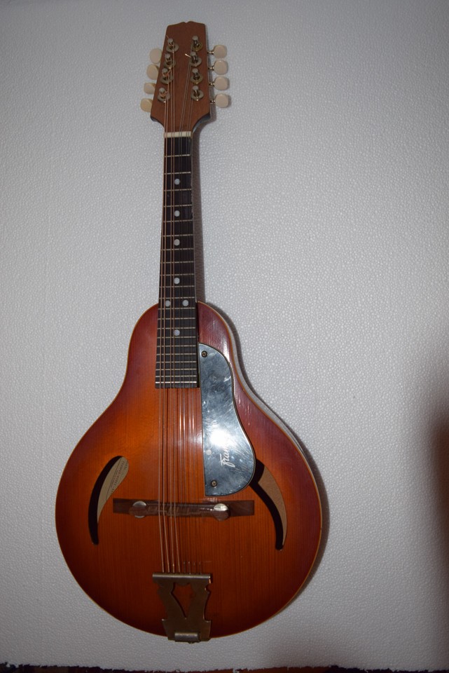 1960's Framus Mandolin - Made in Germany - HSC | eBay