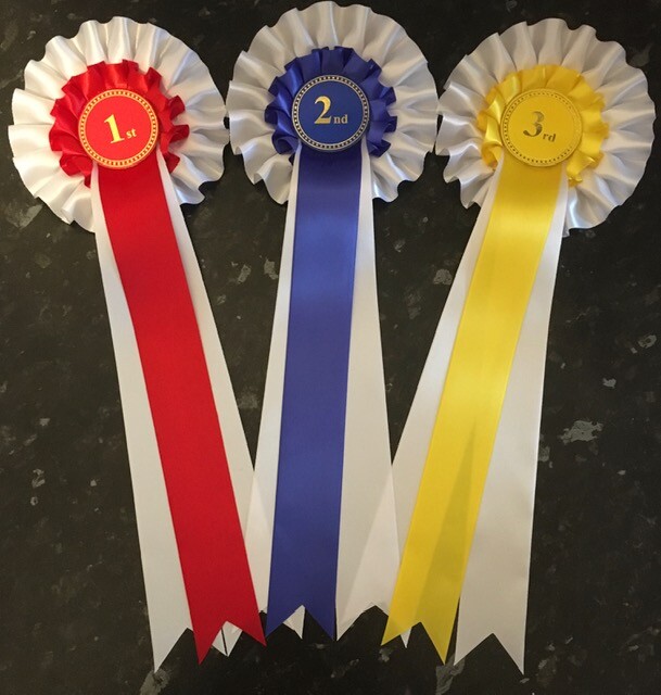 2 tier Rosettes 1st-3rd,1st-4th, 1st-5th, 1st-6th in quality single ...