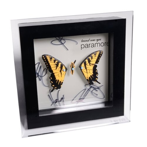Paramore Butterfly