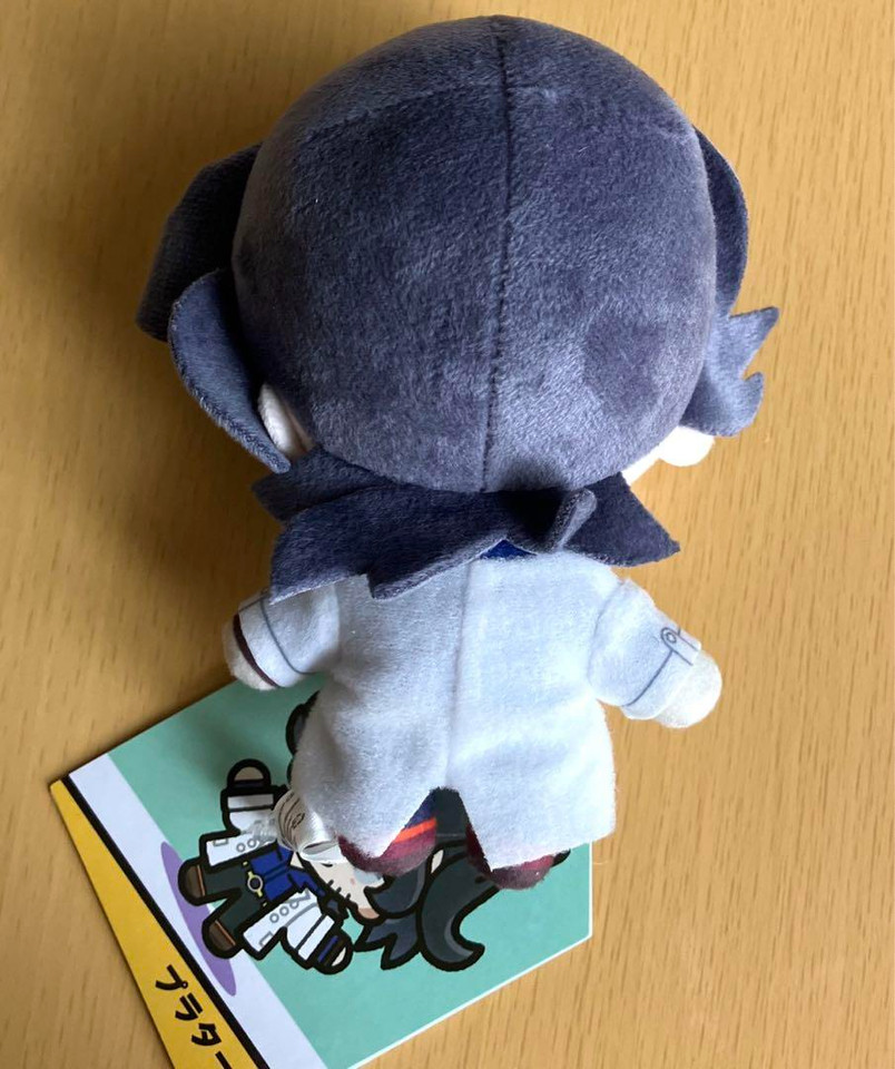 Mascot POKEMON TRAINERS plush doll Professor Sycamore keychain JP | eBay